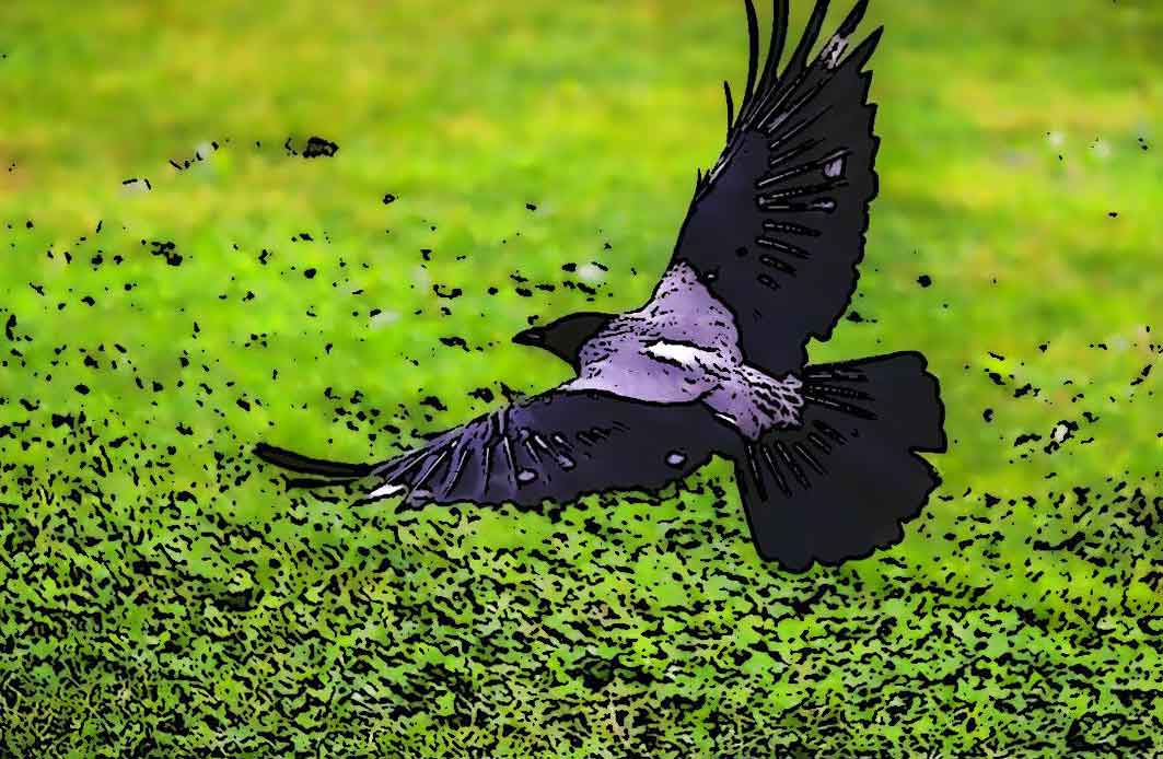 Pyasa Kauwa Ki Kahani | प्यासे कौवे की कहानी - Hindi Superhit Kahaniyan